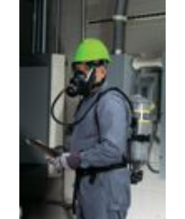 MSA 10116782 AirHawk® II Air Mask | International Safety